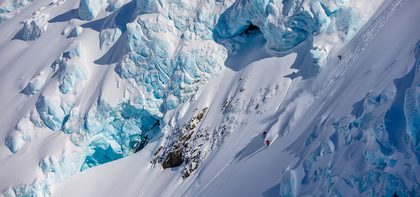 Freedom to Explore | Scott